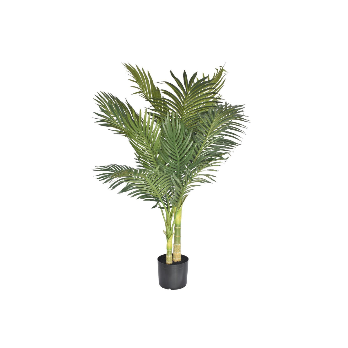 Artificial Cane Palm Tree | Shop The Home Quarter Online