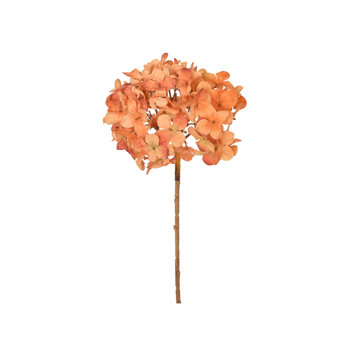 Artificial Light Orange Dried Hydrangea Stem – The Home Quarter