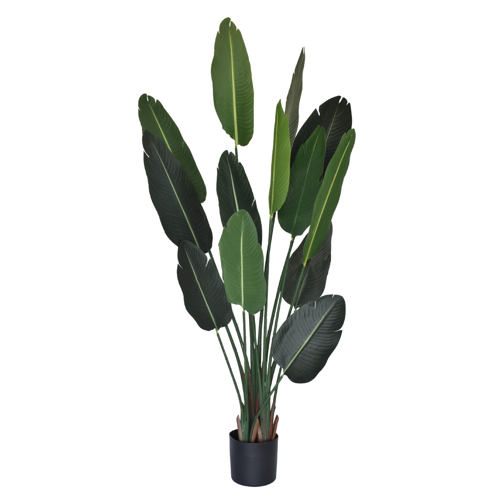 Artificial Plants & Trees | Shop The Home Quarter Online
